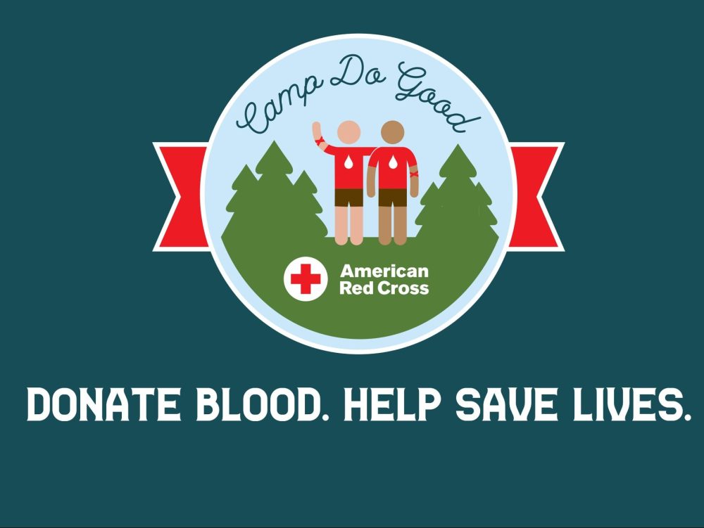 Ideas Health Fair Blood Drive Logo Blood Donation Drive Poster Design